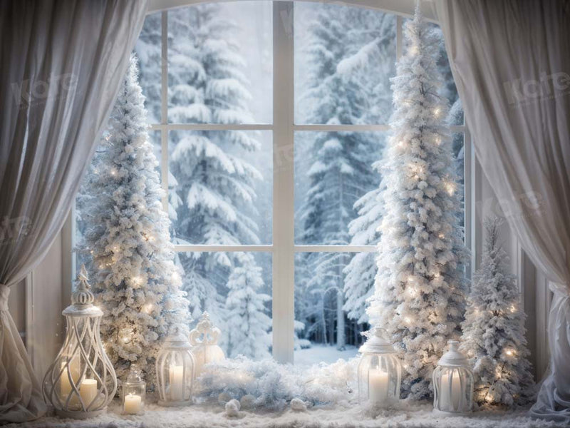 Winter Wonderland Snowy Forest Window Backdrop