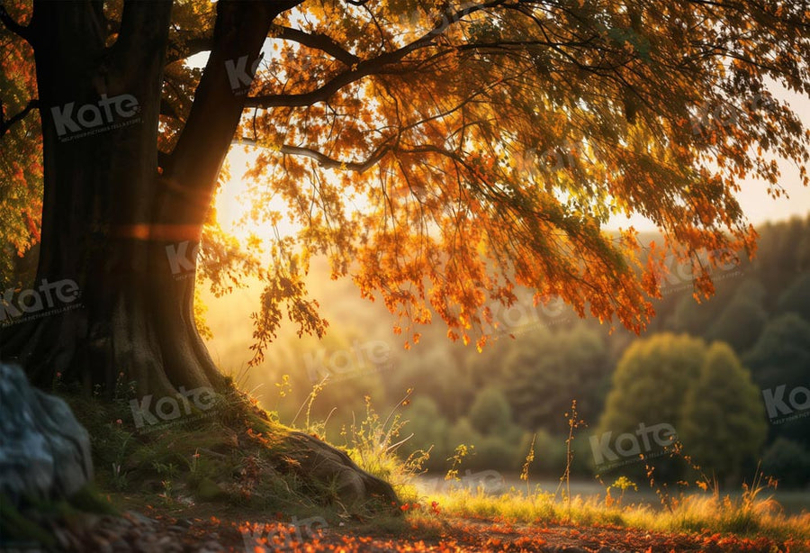 Golden Autumn Sunlight Tree Backdrop