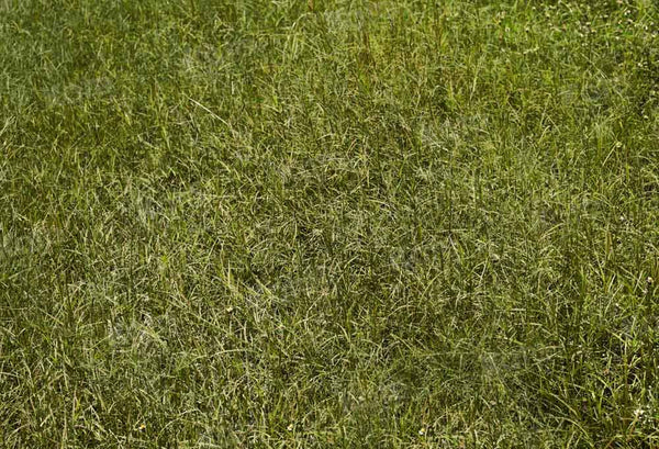 Lush Green Meadow Natural Grass Backdrop