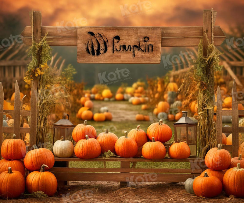 Rustic Autumn Pumpkin Patch Backdrop