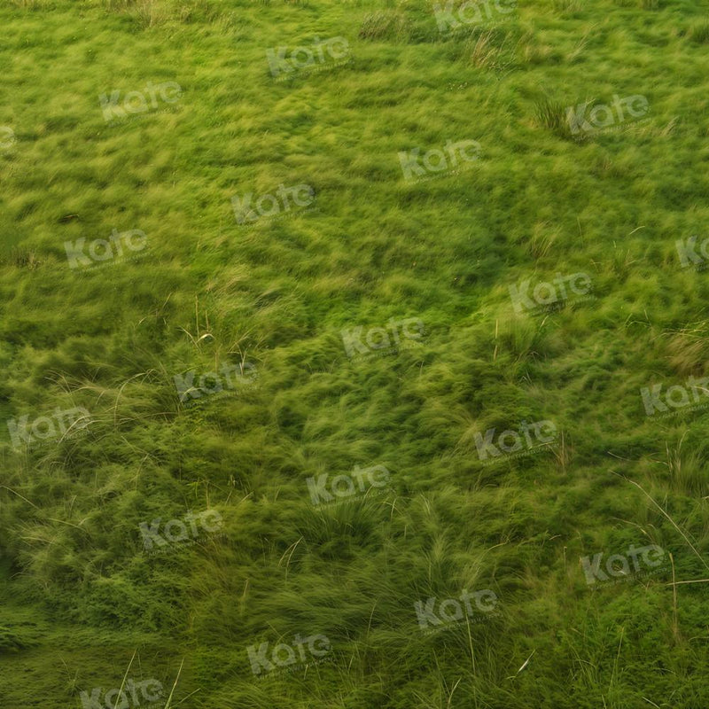 Lush Verdant Grassland Natural Backdrop