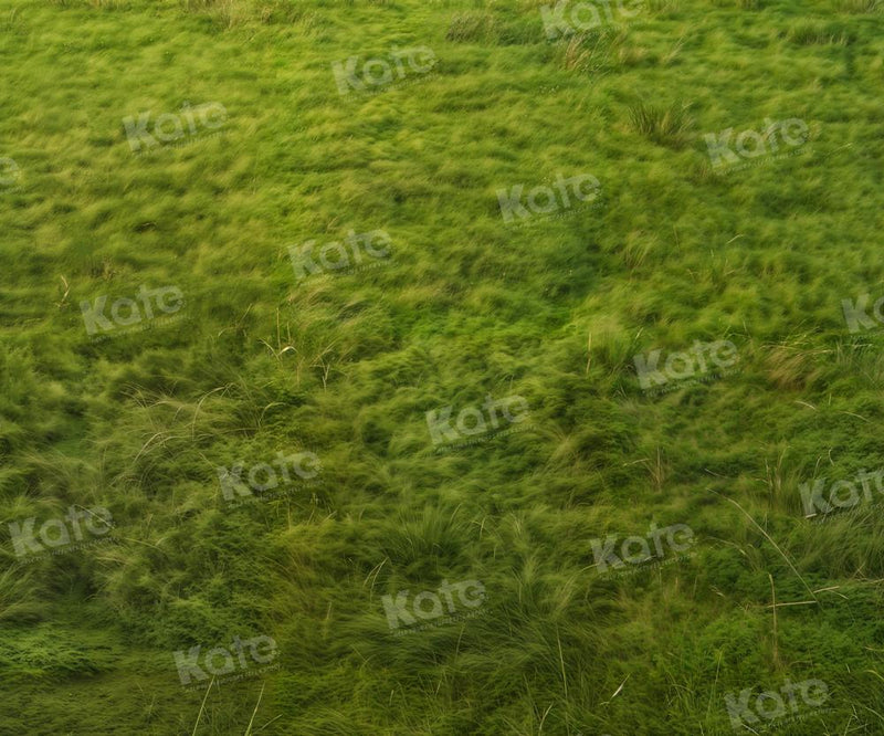Lush Verdant Grassland Natural Backdrop