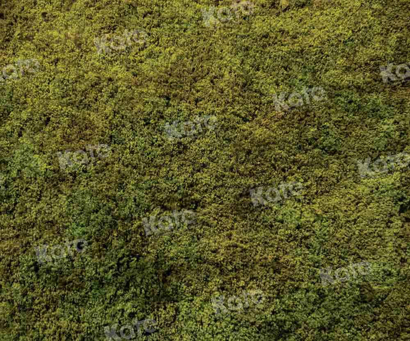 Lush Green Natural Moss Wall Backdrop