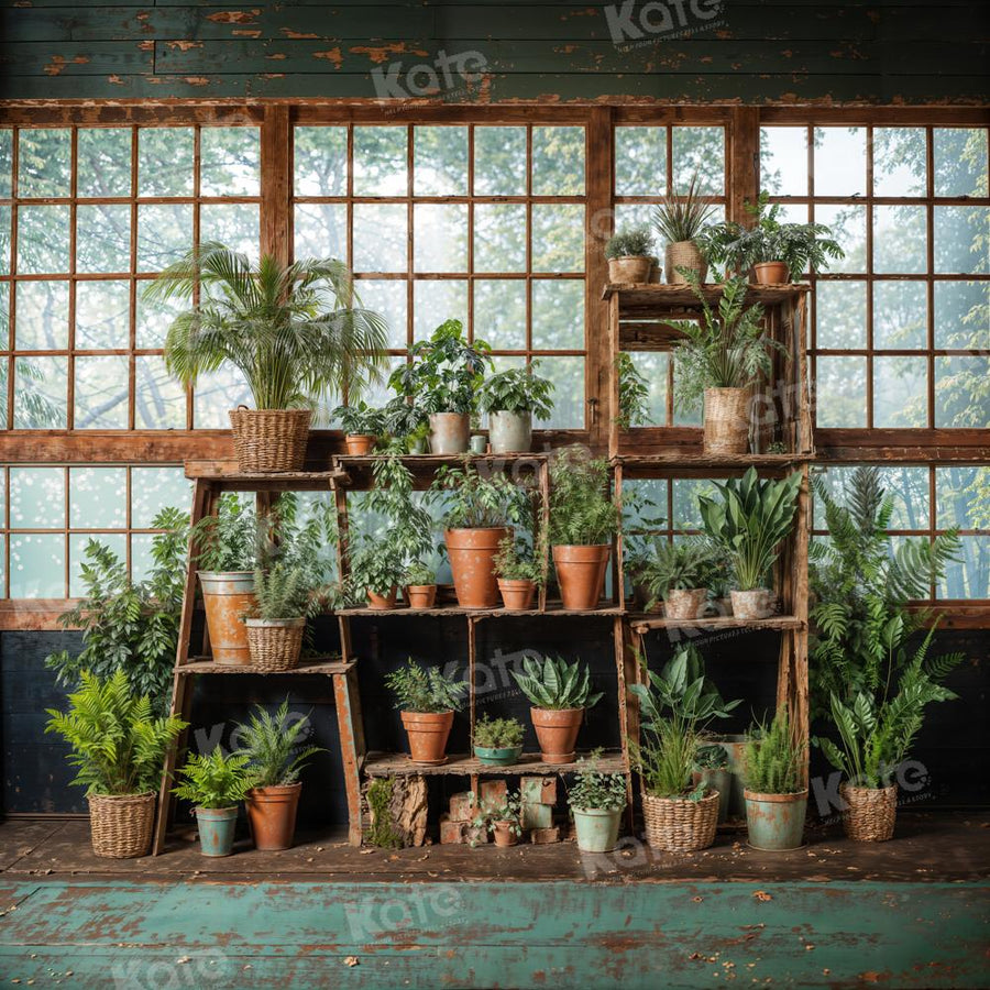 Rustic Indoor Botanical Plant Display Backdrop