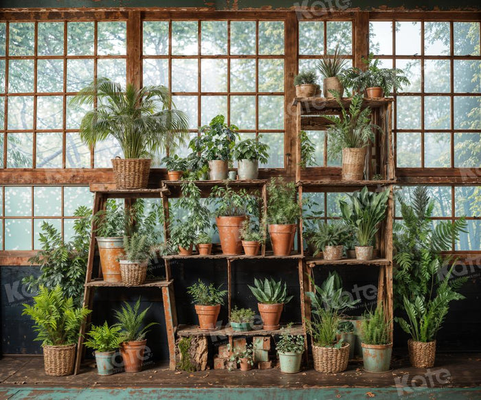 Rustic Indoor Botanical Plant Display Backdrop