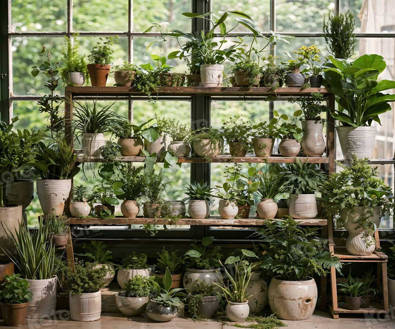 Kate Spring Green Plant Window Room Backdrop Designed by Chain Photogr