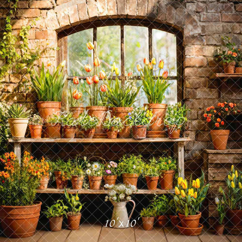 Kate Spring Green Plant Window Room Backdrop Designed by Emetselch