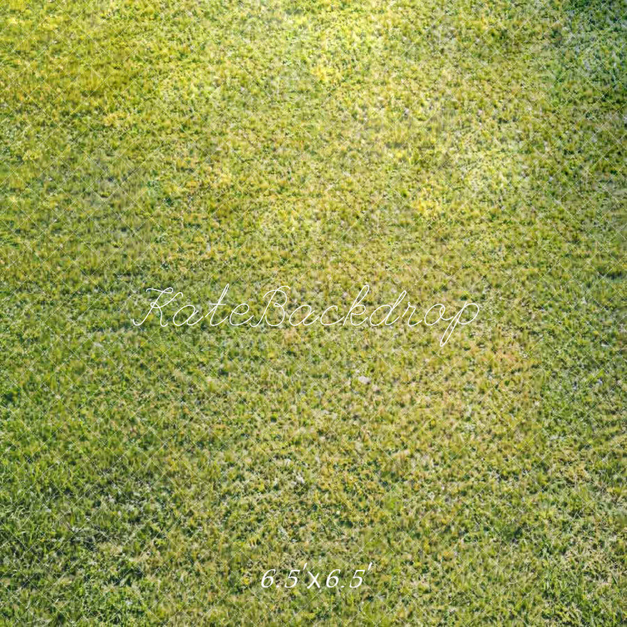 Realistic Natural Green Grass Backdrop