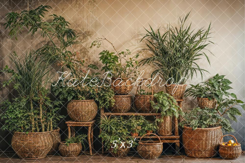 Rustic Indoor Botanical Plant Display Backdrop