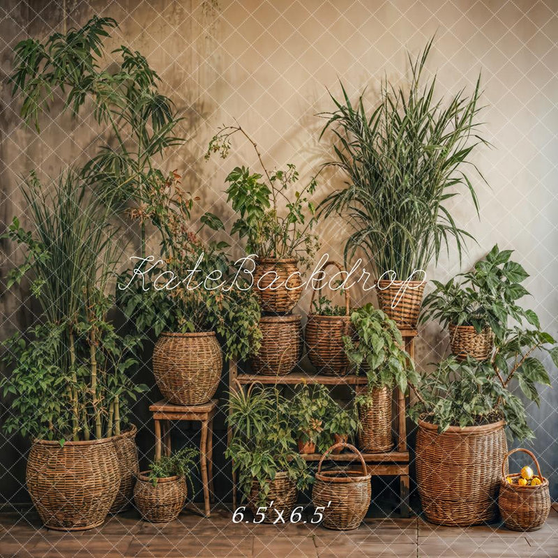 Rustic Indoor Botanical Plant Display Backdrop