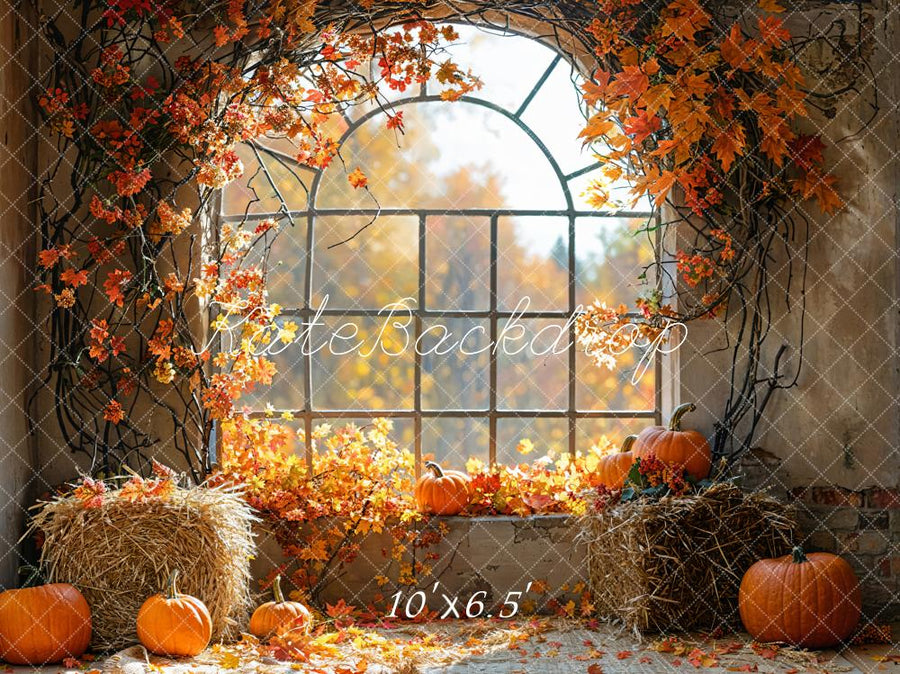 Autumn Harvest Rustic Window Backdrop