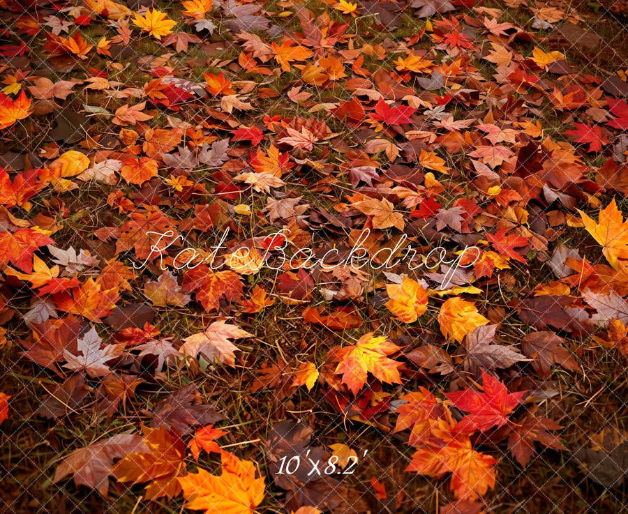 Kate Fall Outdoor Forest Maple Leaves Floor Photo Backdrop for Family ...