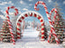 Kate Winter Christmas Outdoor Forest Snow Candy Arch Backdrop Designed