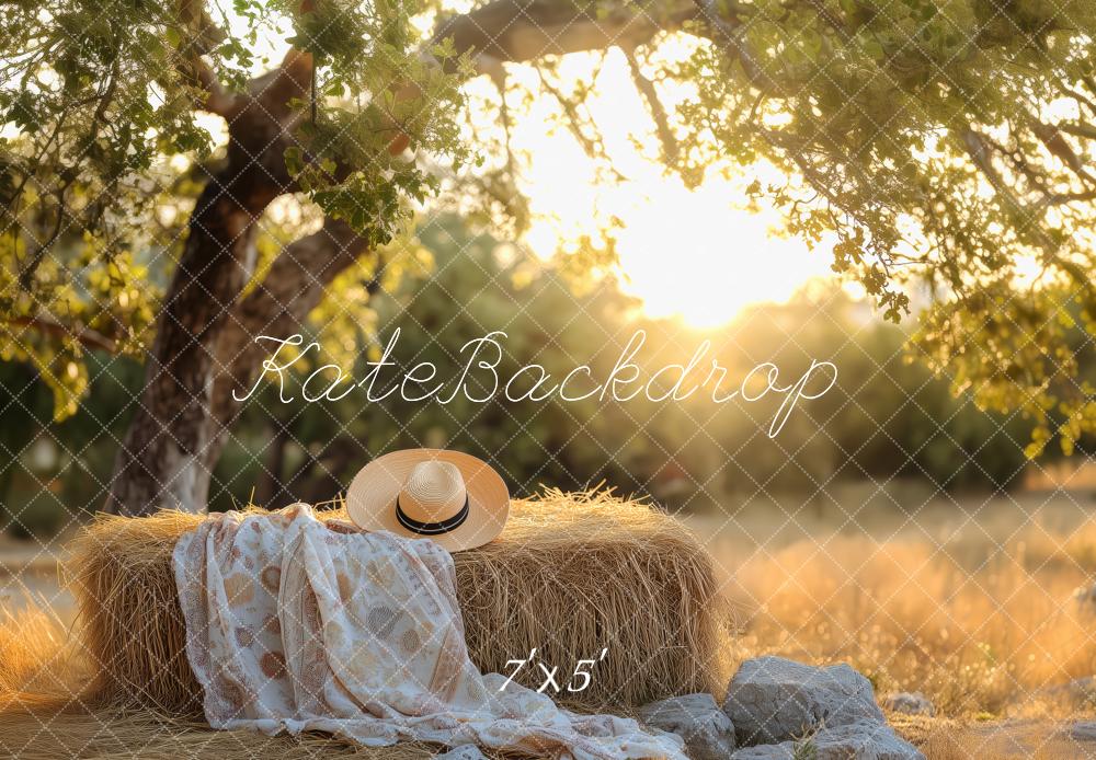 Golden Sunlit Rustic Farm Haystack Backdrop