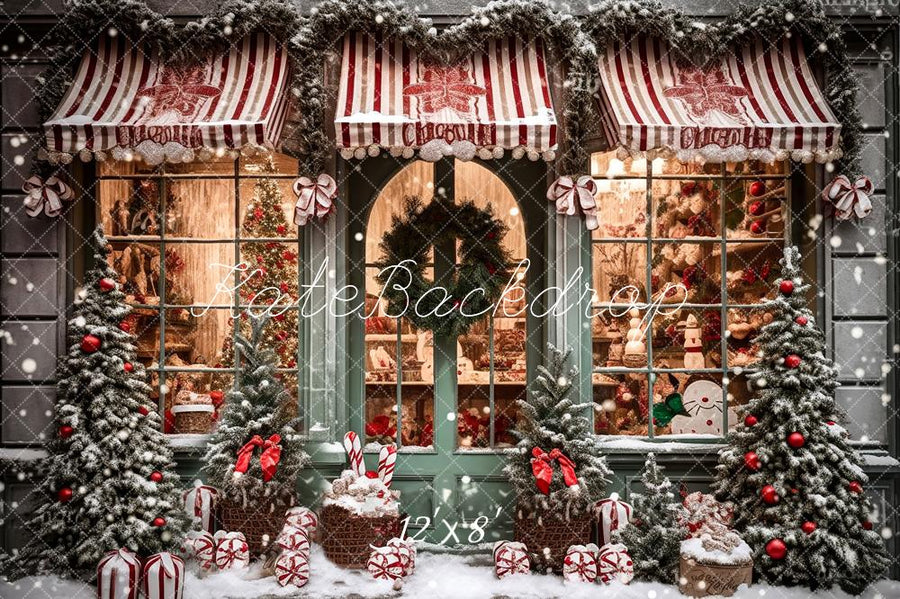 Vintage Christmas Postal Holiday Backdrop