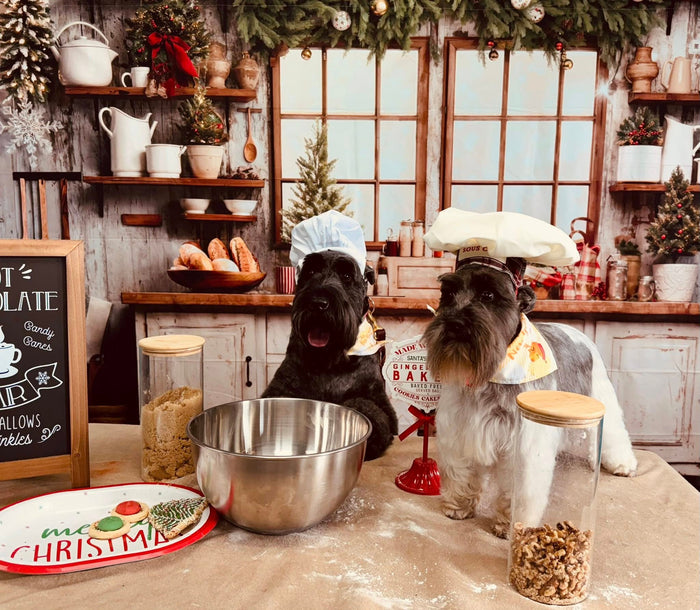 Cozy Rustic Holiday Kitchen Backdrop