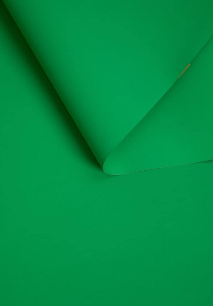 SALE RTS Kate Whiskey Green Seamless Paper Backdrop for Photography (U