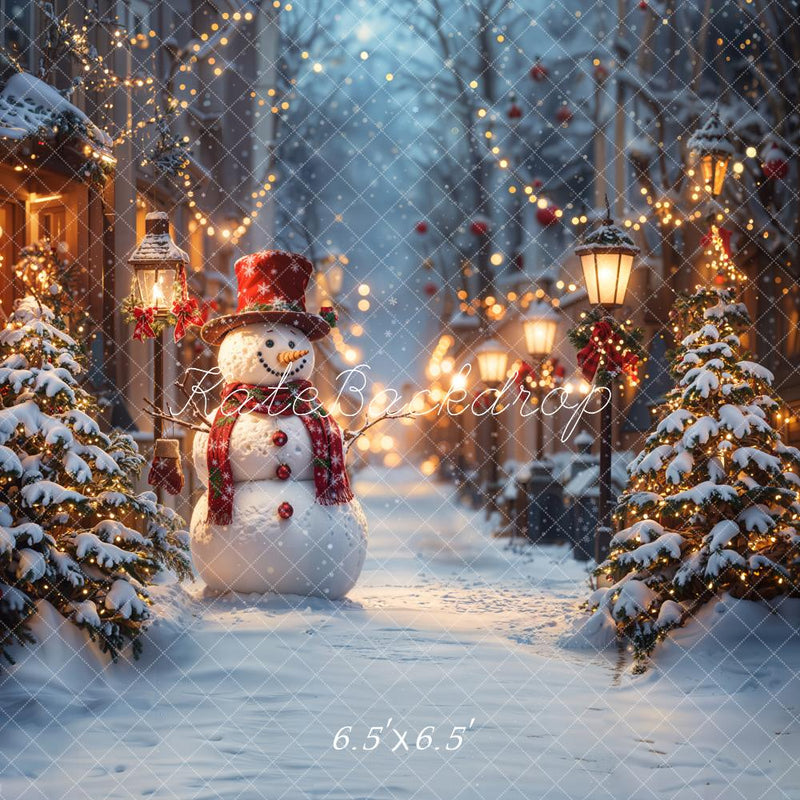 Winter Wonderland Snowman Holiday Backdrop