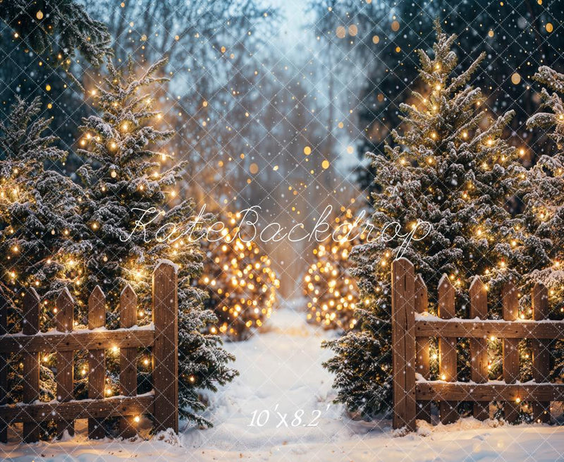 Winter Wonderland Festive Light Backdrop