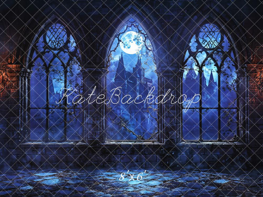 Enchanting Moonlit Gothic Castle Window
