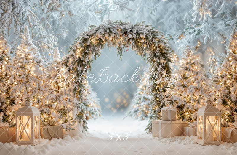 Winter Wonderland Snowy Arch Backdrop