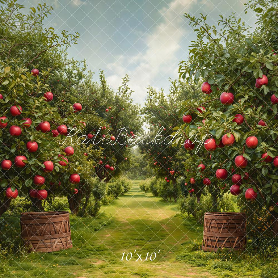 Lush Apple Orchard Pathway Backdrop