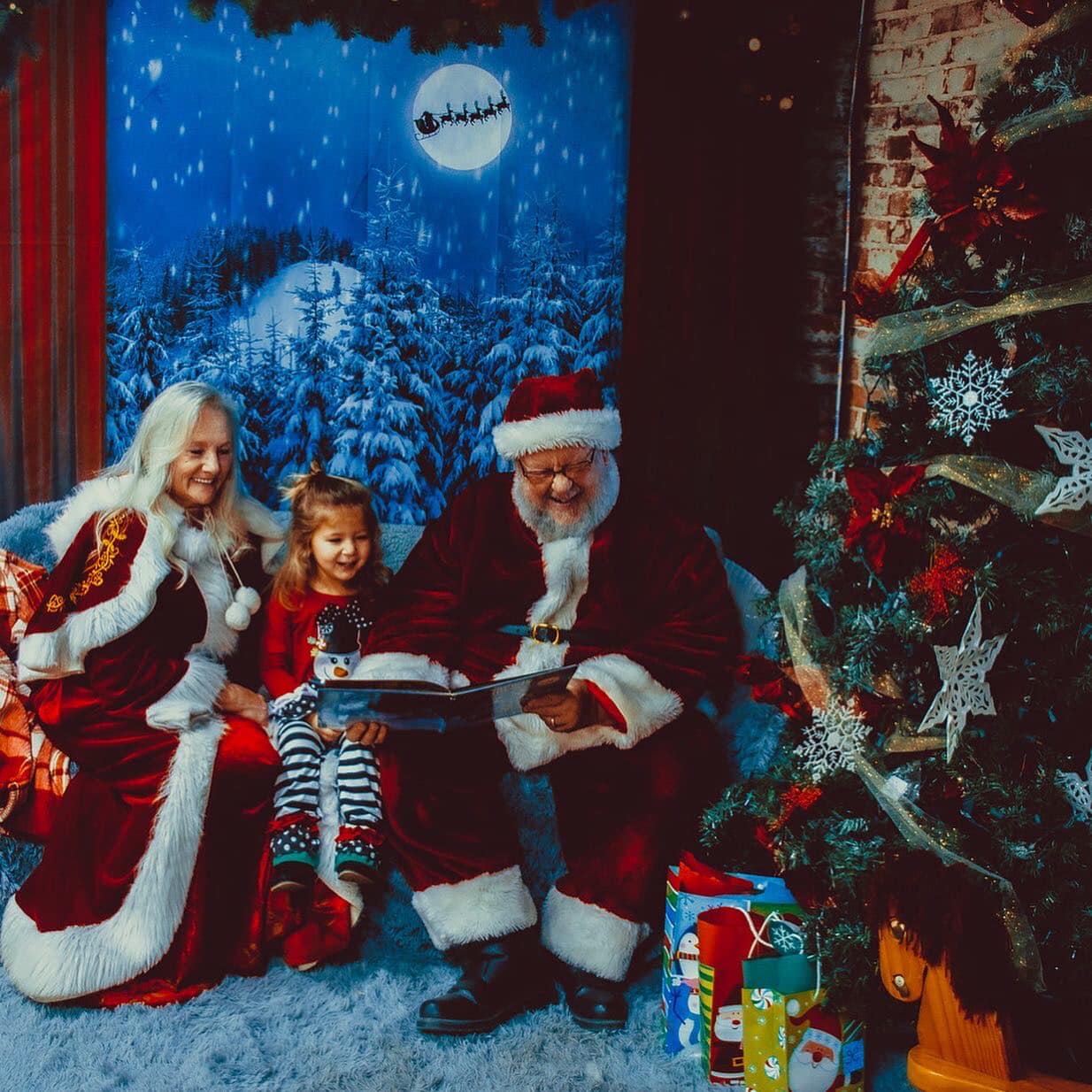 Santa Backdrops For Photography SANTAS WORKSHOP, Atelier Du Père