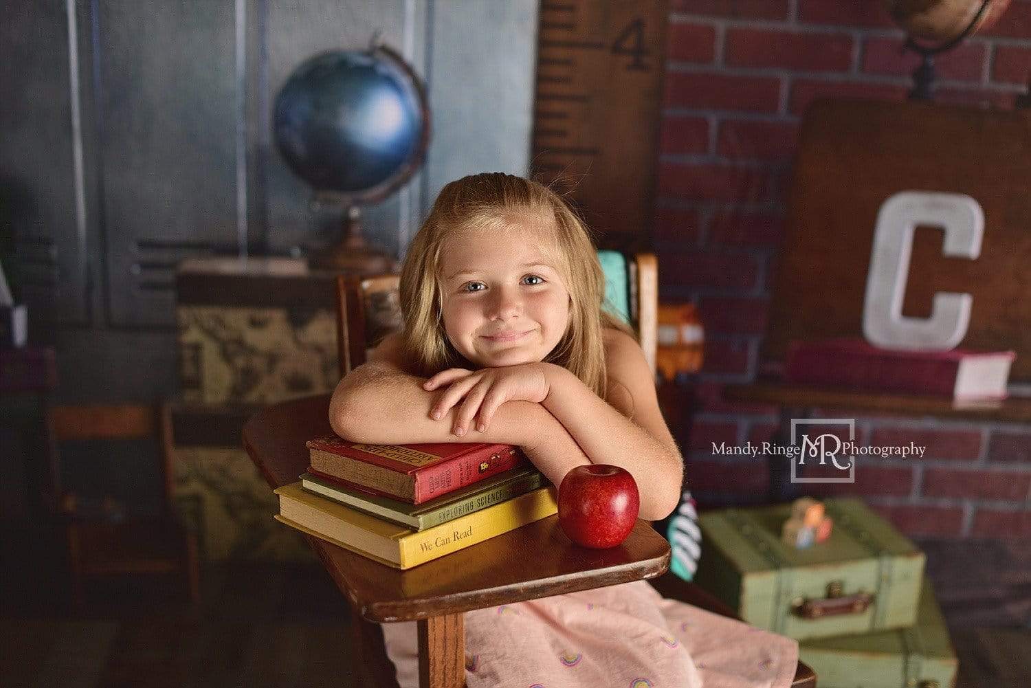 Kate Back to School Backdrop for Photography Designed By Erin Larkins