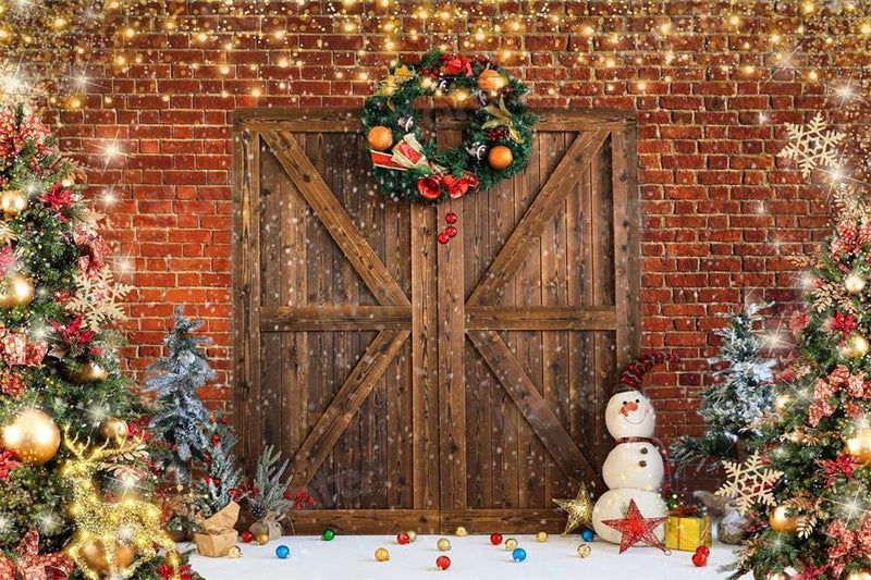Rustic Festive Holiday Barn Door Backdrop