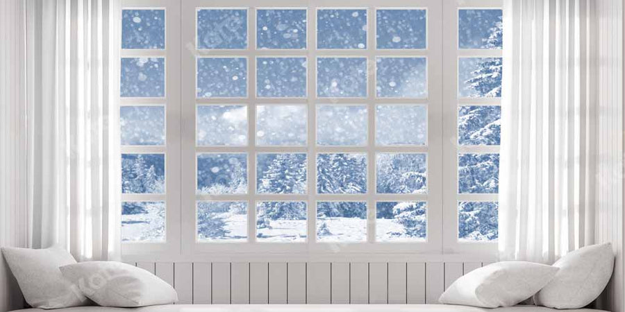 Winter Wonderland Snowy Window Backdrop