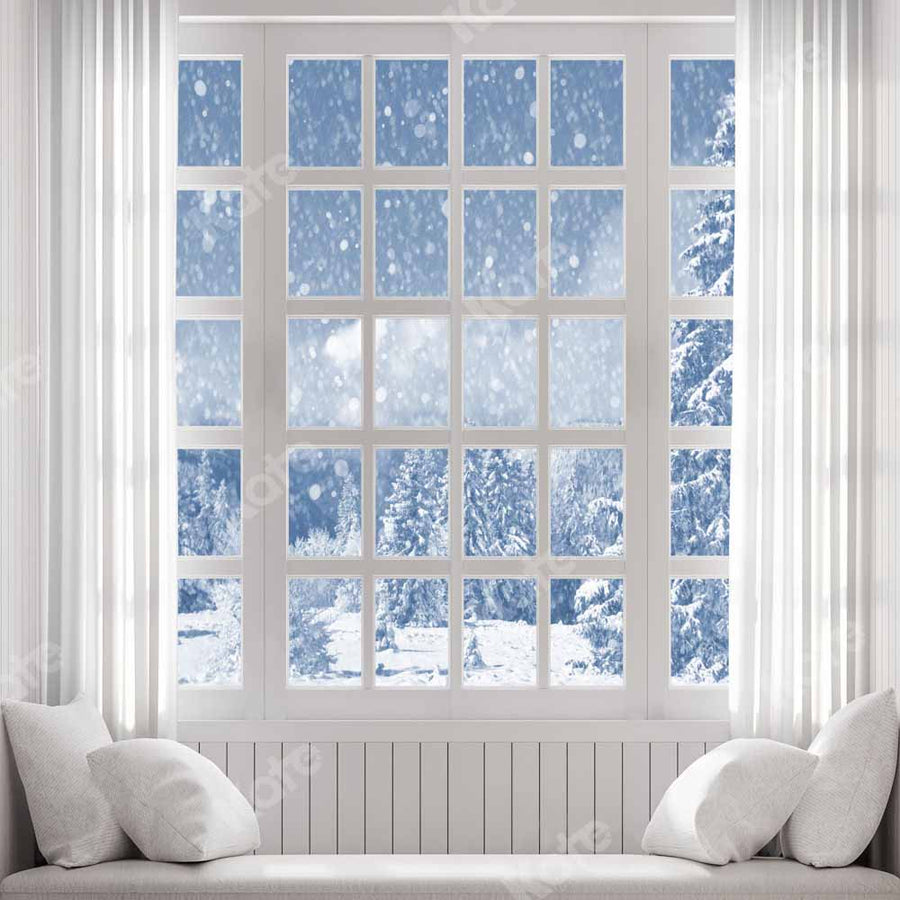 Winter Wonderland Snowy Window Backdrop