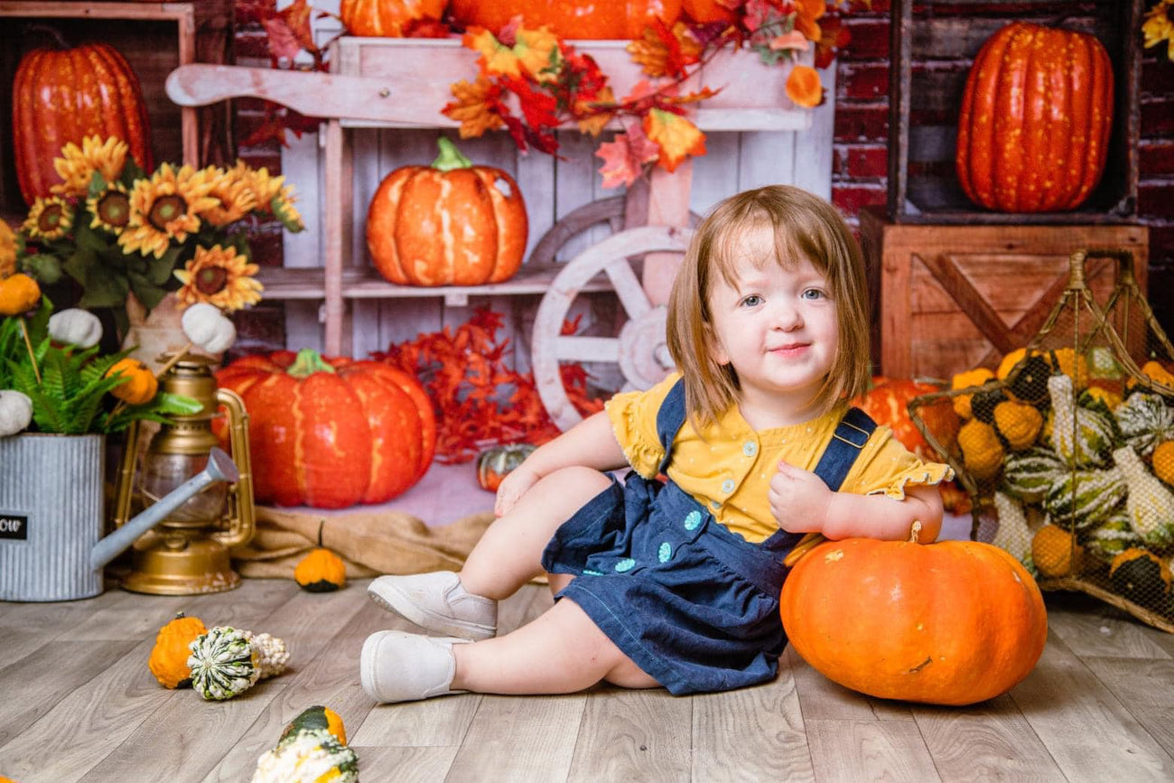 Rustic Autumn Harvest Pumpkin Backdrop