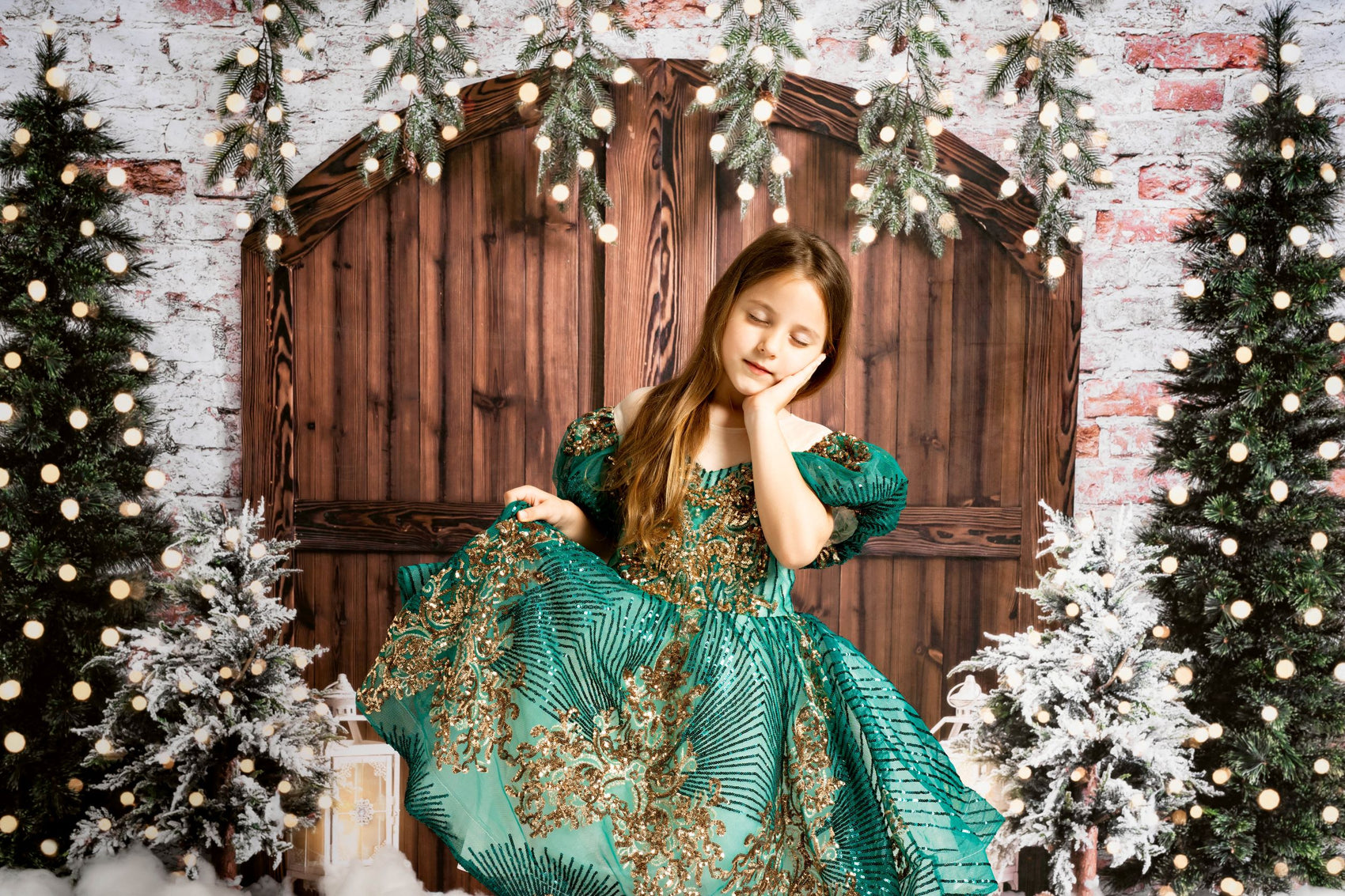 Festive Holiday Pet Christmas Backdrop