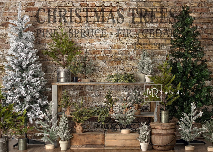 Rustic Winter Christmas Tree Backdrop