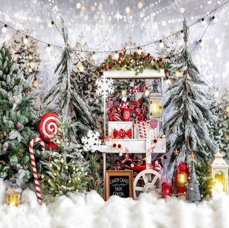 Winter Wonderland Festive Holiday Backdrop