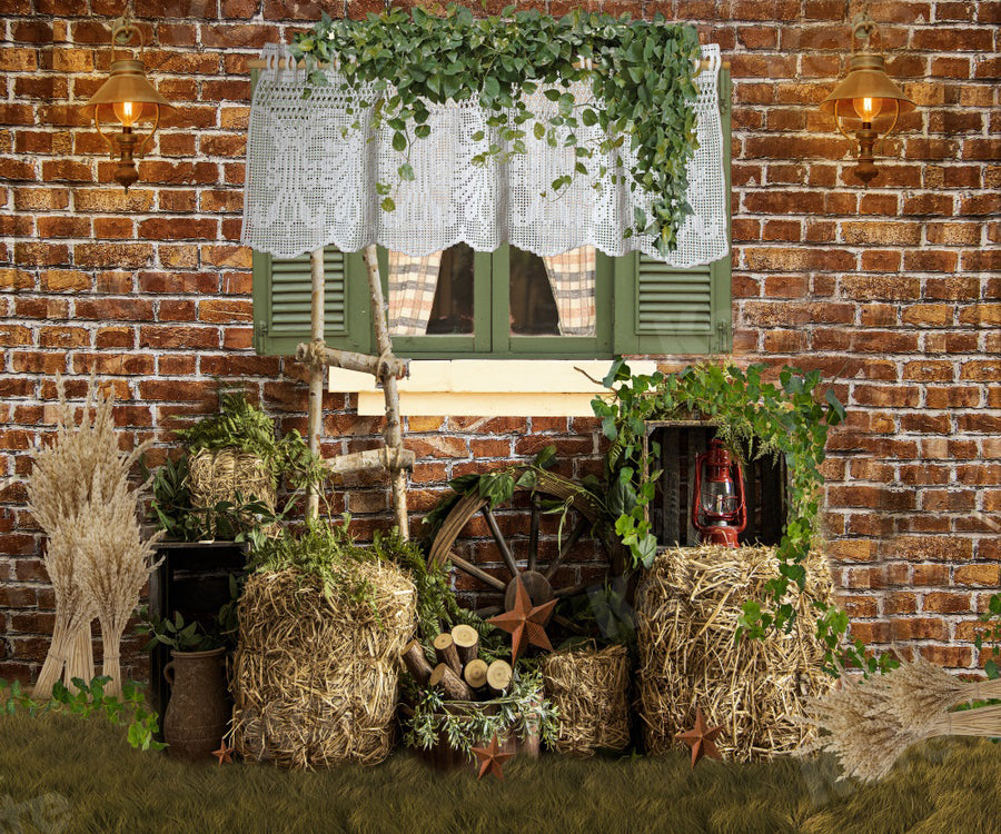 Rustic Farmhouse Vintage Charm Backdrop