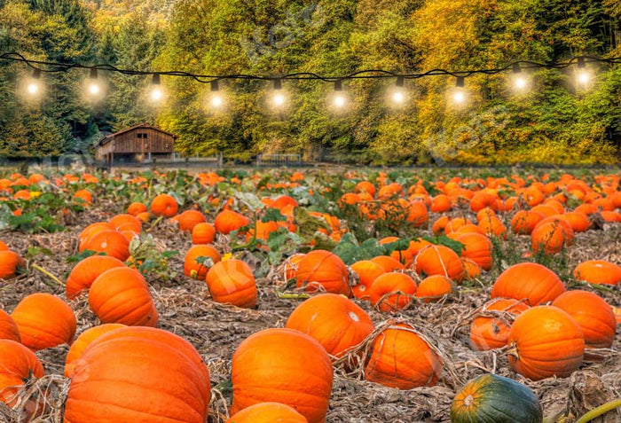 Autumn Pumpkin Patch Rustic Landscape Backdrop