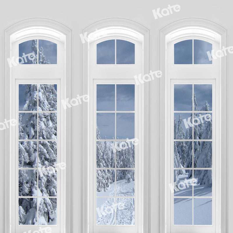 Snowy Winter Forest Window View Backdrop