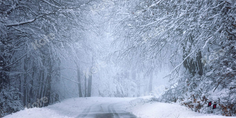 Mystical Winter Snowy Forest Backdrop