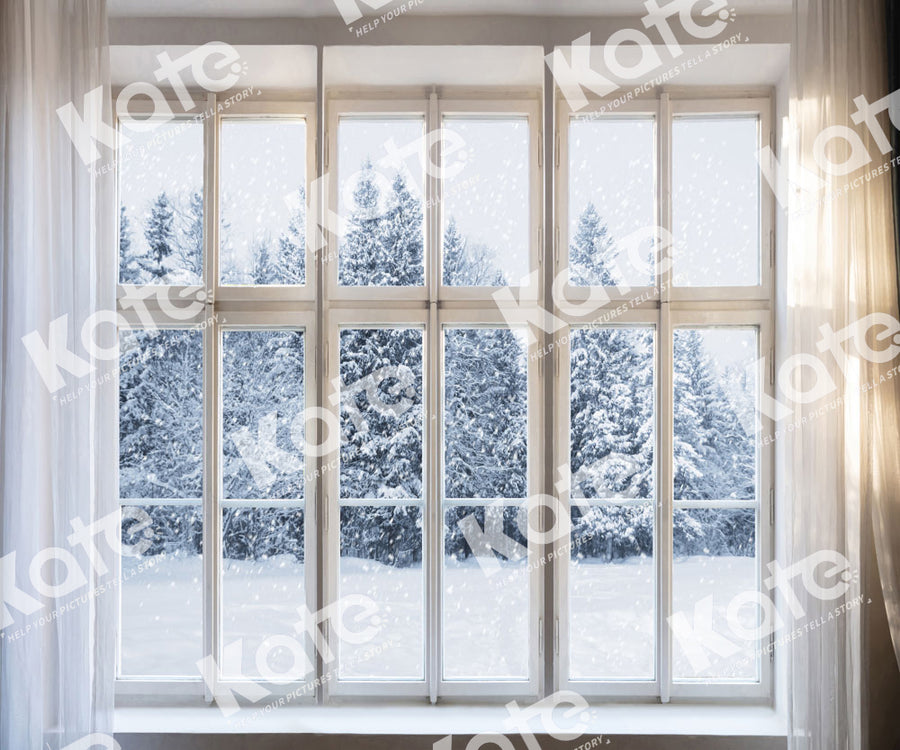 Winter Wonderland Snowy Window View Backdrop