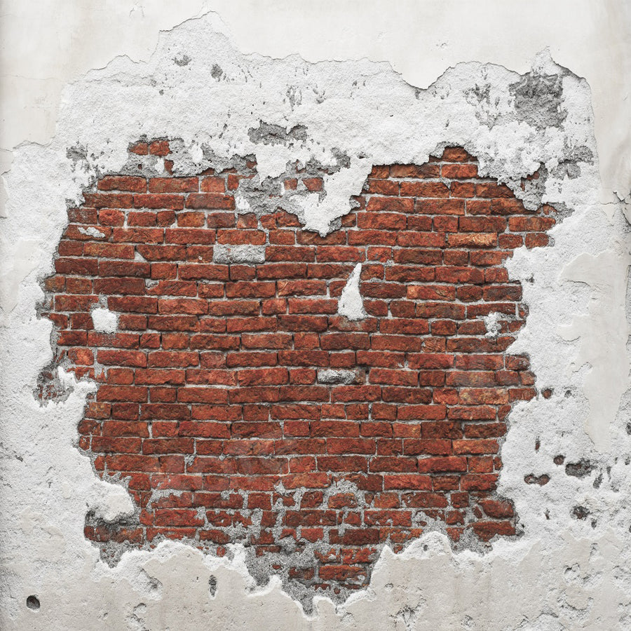 Rustic Exposed Brick Wall Backdrop