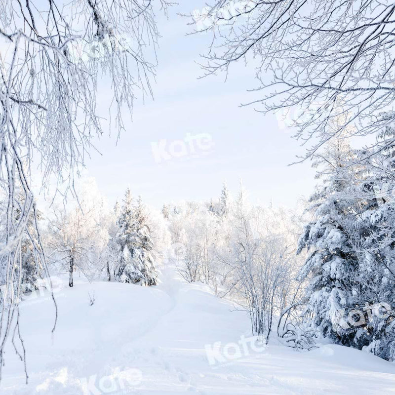 Serene Winter Wonderland Snow Backdrop