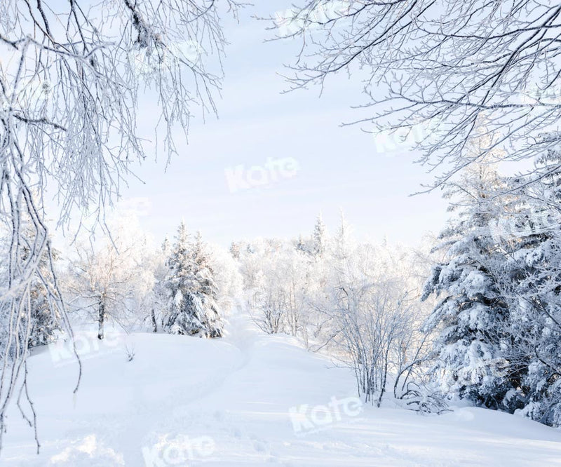 Serene Winter Wonderland Snow Backdrop