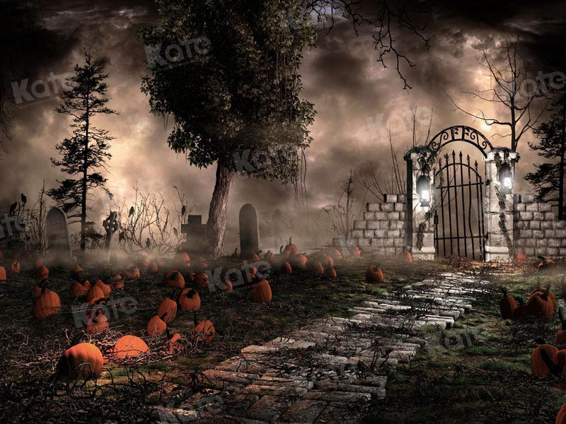Haunted Pumpkin Pathway Graveyard Backdrop
