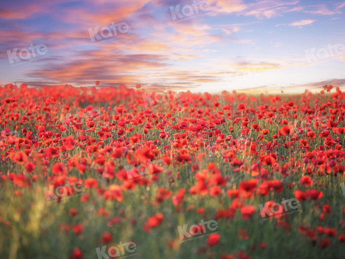 Sunset Poppy Field Floral Backdrop