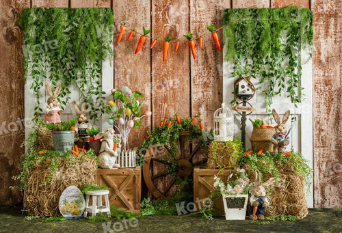 Kate Spring Easter Barn Bunny Backdrop for Photography