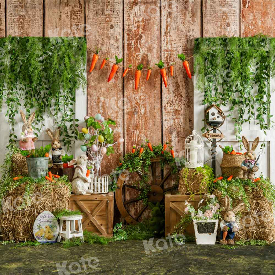 Kate Spring Easter Barn Bunny Backdrop for Photography
