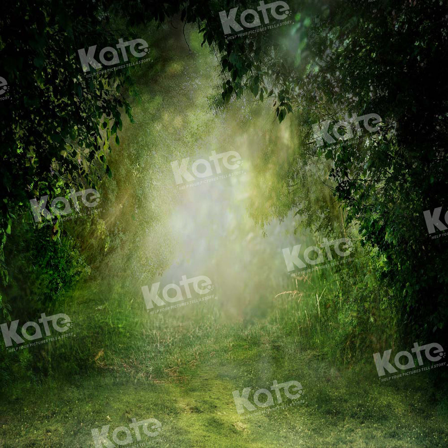 Enchanted Forest Pathway Backdrop