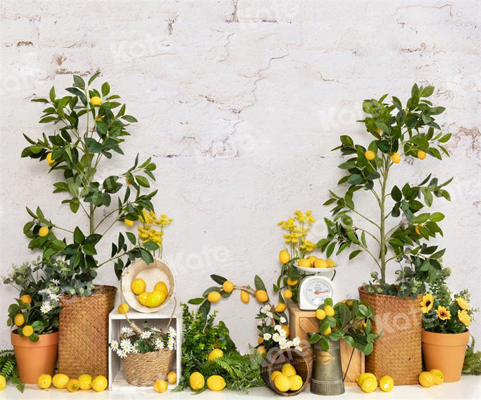 Sunny Citrus Botanical Garden Backdrop