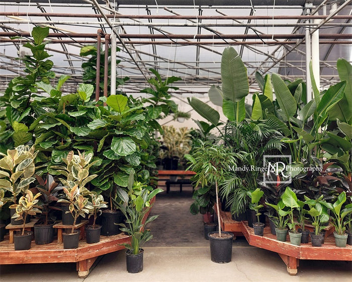 Lush Indoor Garden Plant Backdrop